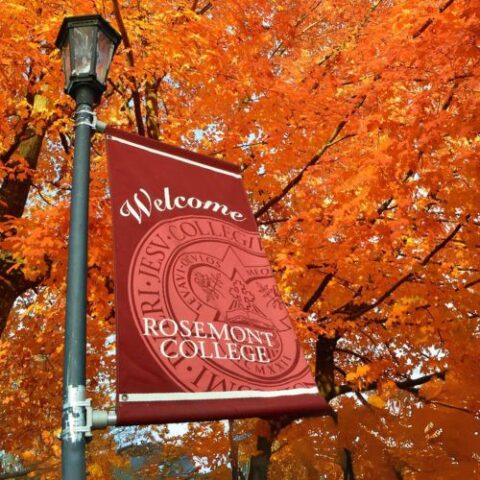 All Undergraduate Programs - Rosemont College