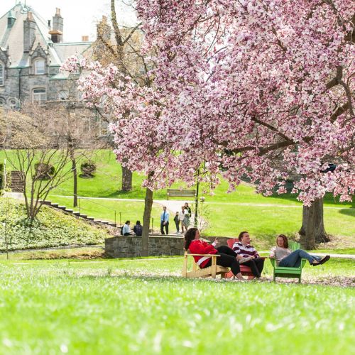 Academic Exploration Program (AEP) - Rosemont College