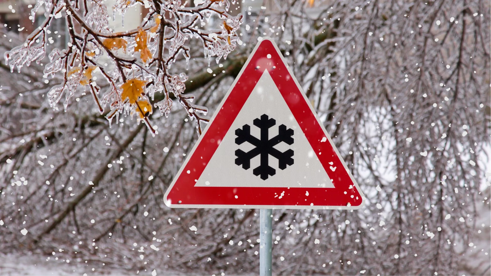 Basketball February 10, 2026 Road Game Rivalry - Rosemont College